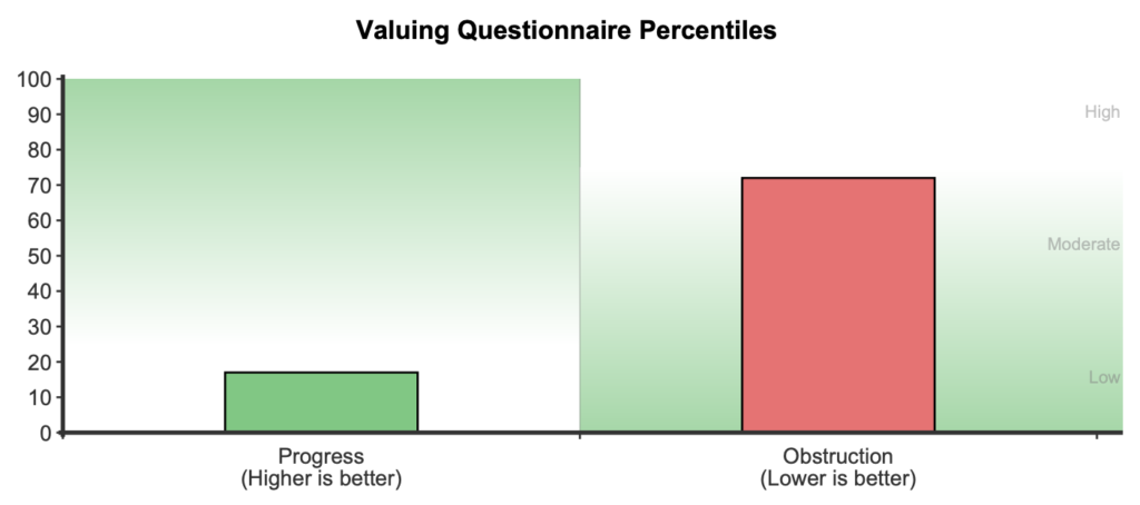 VQ - Valuing Questionnaire