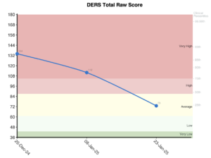 DERS - Difficulties in Emotion Regulation Scale