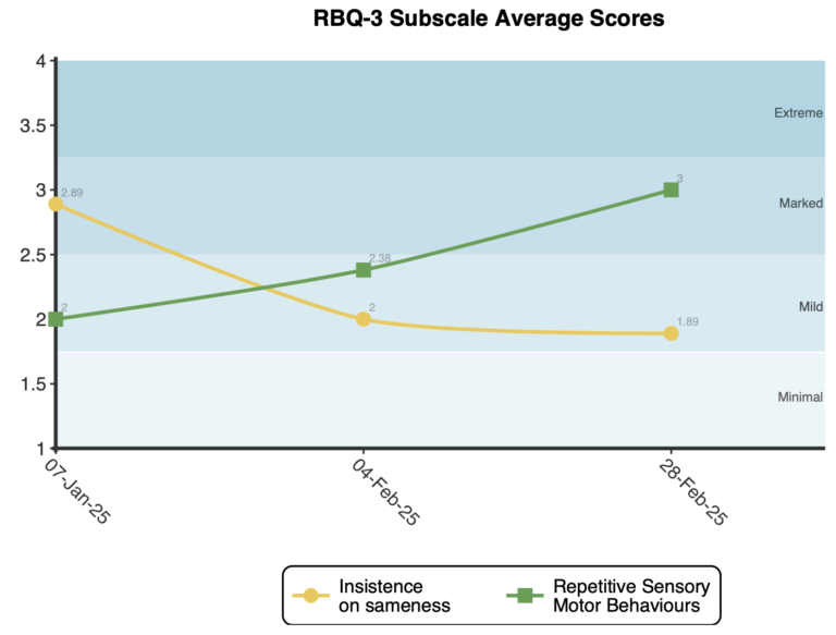 RBQ-3 - Repetitive Behaviours Questionnaire–3