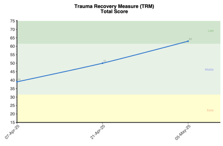 TRM Scale - Trauma Recovery Measure