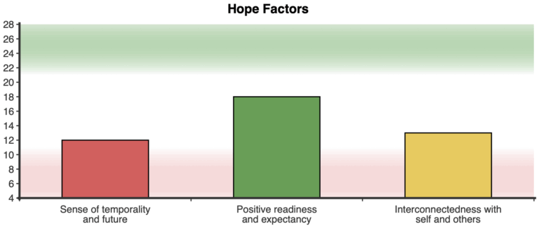 HHI - Herth Hope Index