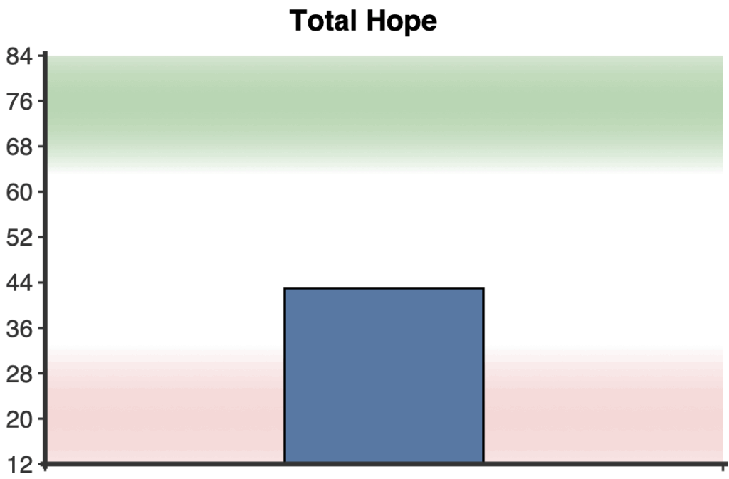 HHI - Herth Hope Index