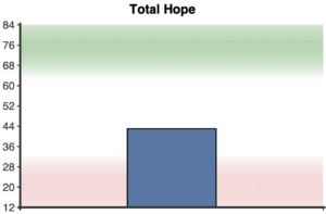 HHI - Herth Hope Index