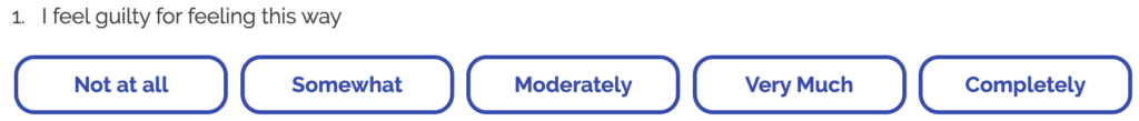 S-DERS - State Difficulties in Emotion Regulation Scale