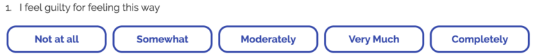 S-DERS - State Difficulties in Emotion Regulation Scale
