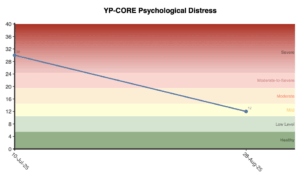 YP-CORE - Young Person’s CORE